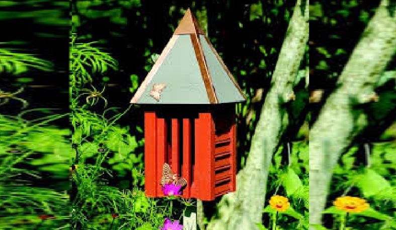 How to Build a Butterfly House, and have Butterfly visitors all the time