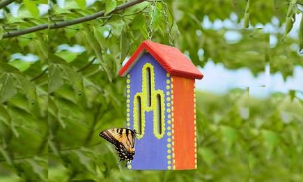 How to Build a Butterfly House, and have Butterfly visitors all the time