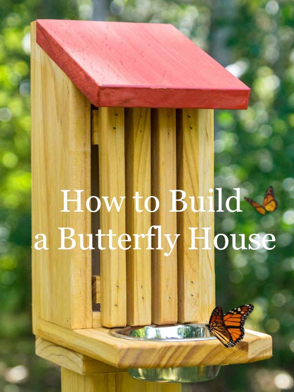 How to Build a Butterfly House, and have Butterfly visitors all the time